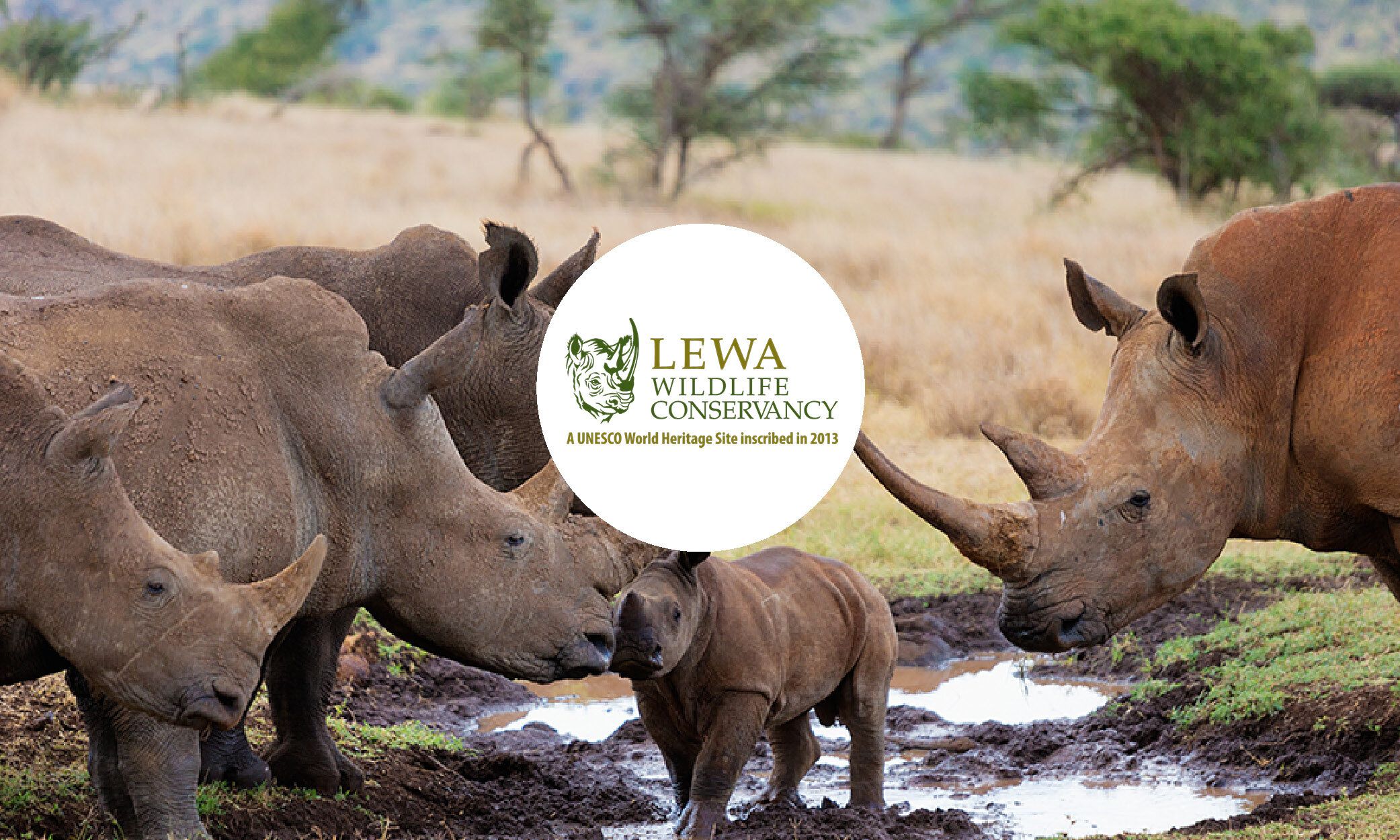 Lewa Conservancy: Wildlife Tracking and Monitoring System - Eco Global ...